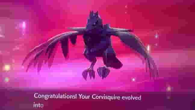 Pokemon Sword and Shield Corvisquire: локации, как поймать и развить